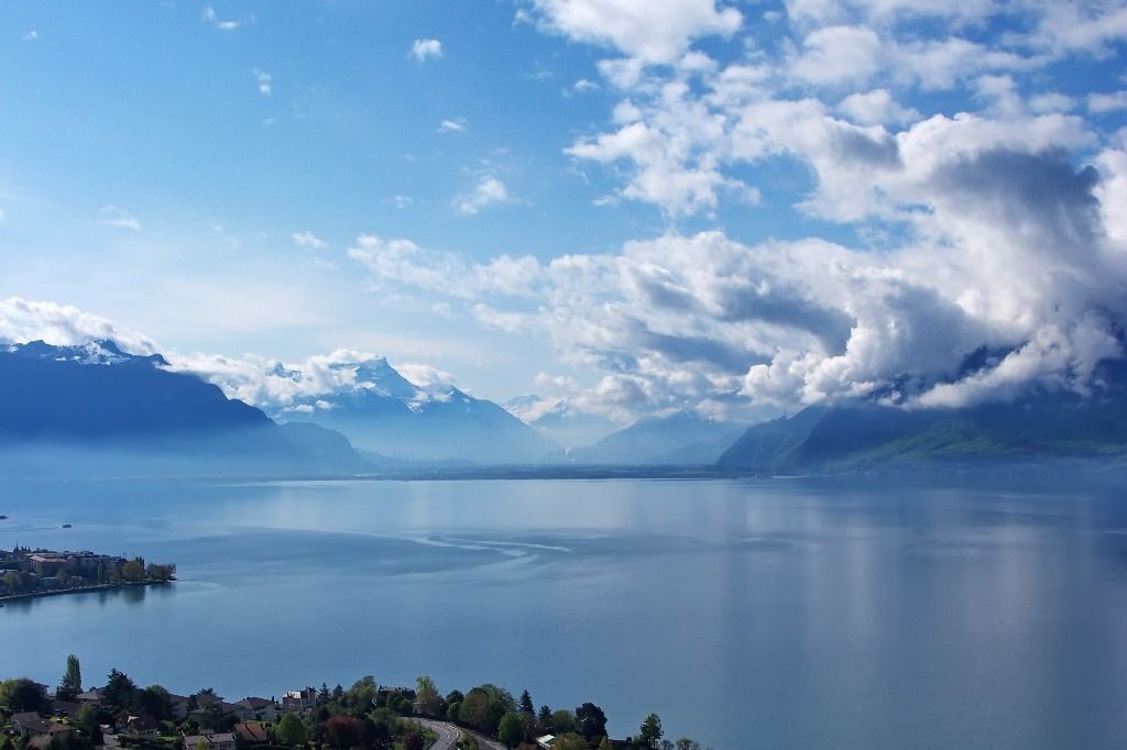 Aquatique: Le fond du lac Léman n'arrive plus à respirer - Le Matin