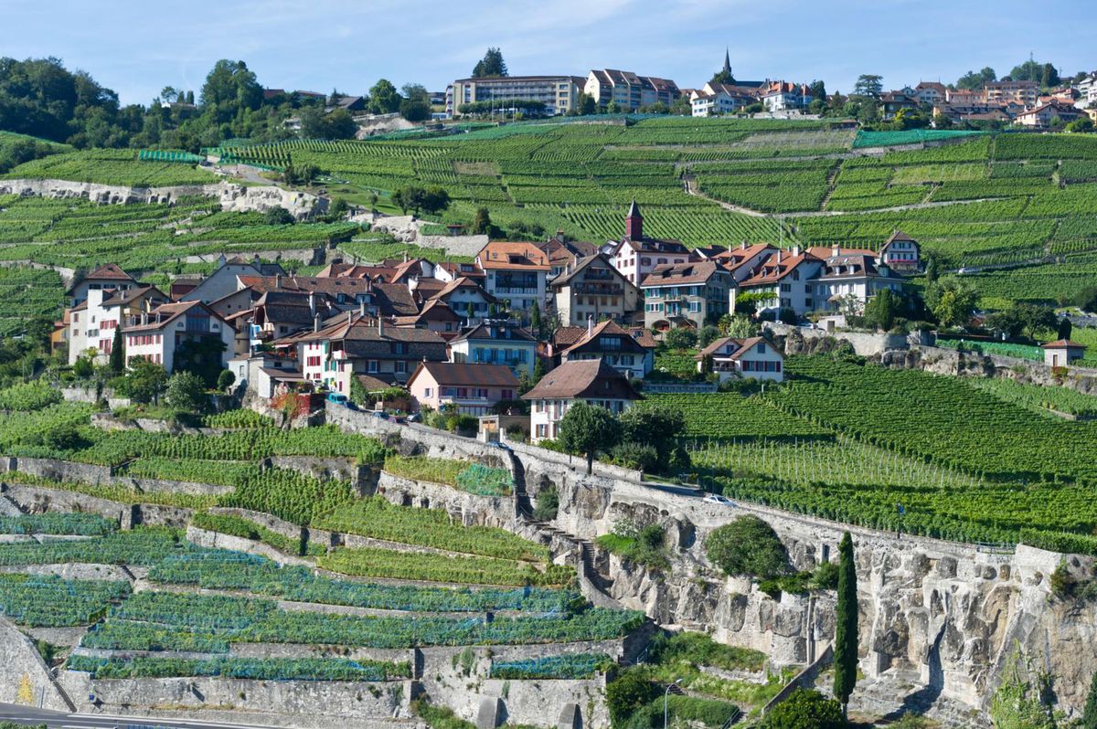 Visites thématiques – Le paysage de Lavaux, «clou» du patrimoine suisse ...