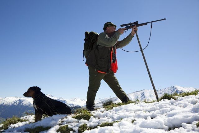 Harmonisation – Un chasseur doit pouvoir chasser dans toute la Suisse ...