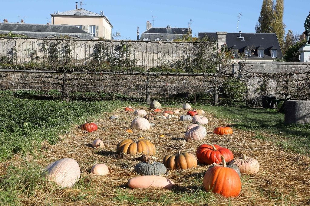 France: Le Potager du Roi à Versailles en décrépitude - Le Matin