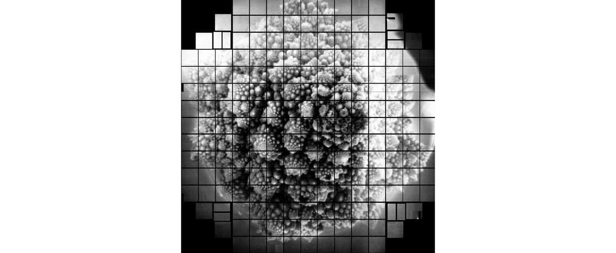 Science: Que montre la photo dotée de la plus grande résolution au ...