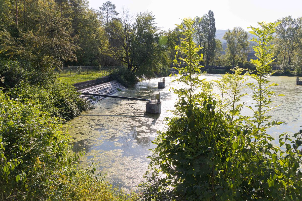 Aesch bekommt Aussichtspunkt: Ein Ort der Naherholung und der ...