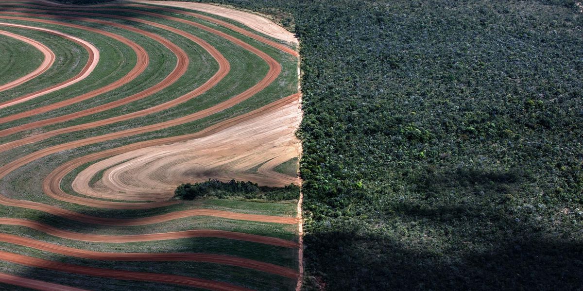 Italiens Erwachen – In Bergamo starben sechsmal mehr Menschen als sonst | Basler Zeitung