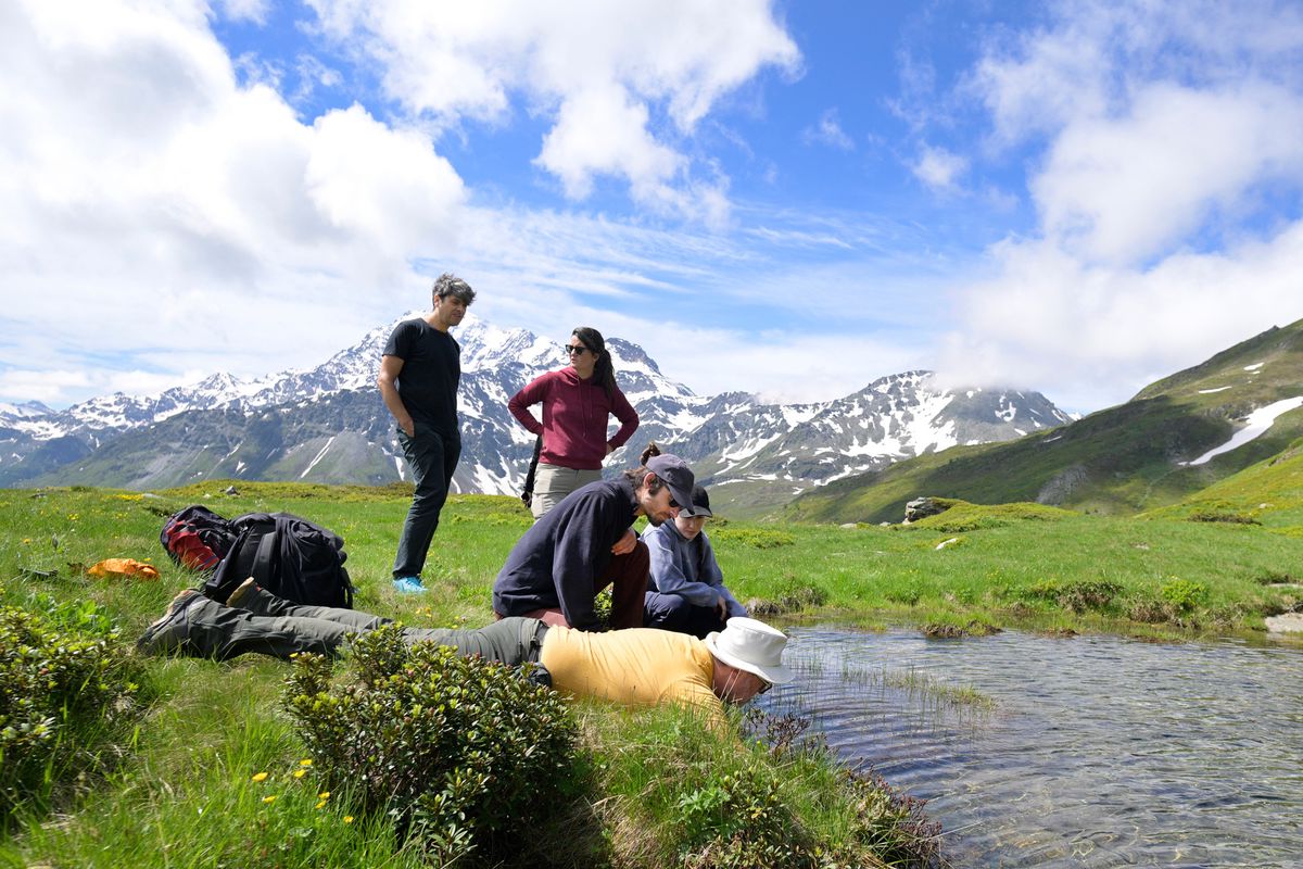 Expédition en Valais: en quête de mystérieux collemboles | 24 heures