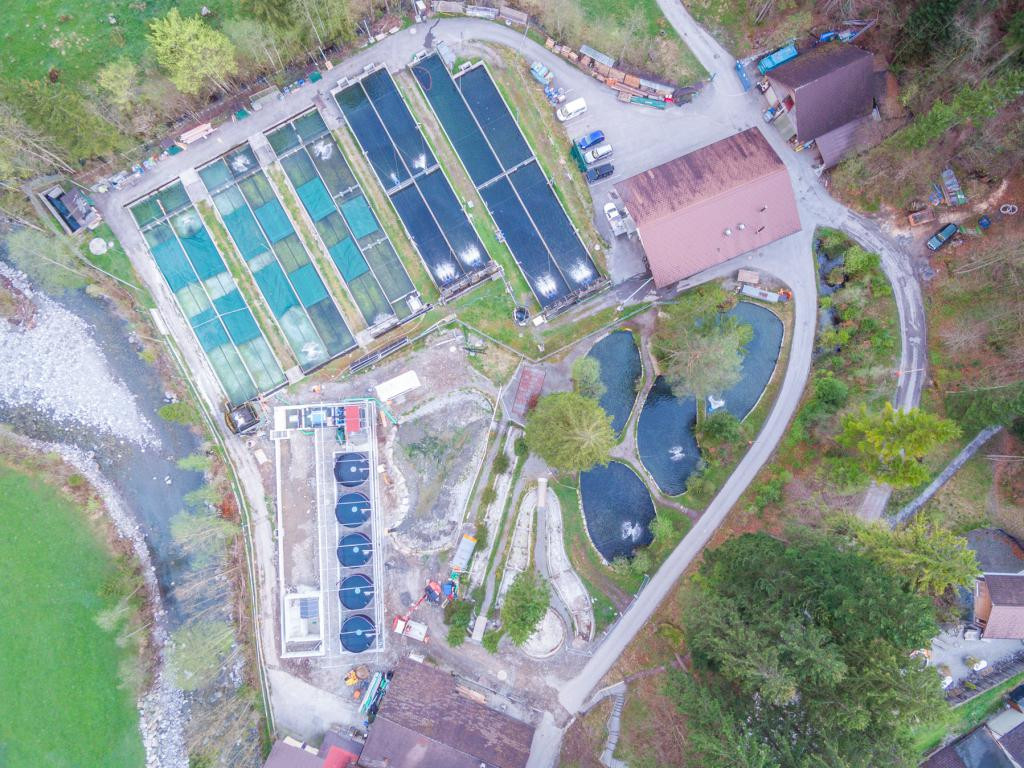 Blausee-Fischzucht: Zugekaufte Jungfische im Verdacht | Berner Zeitung