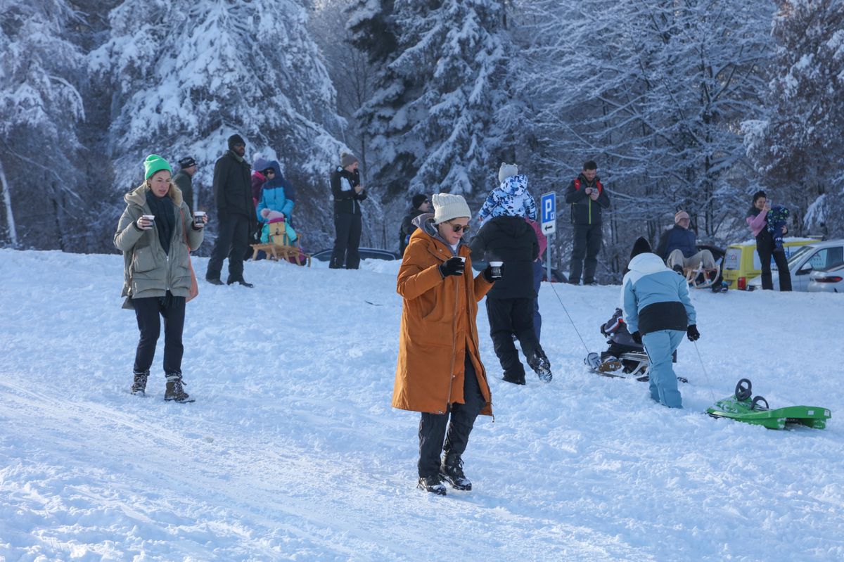 Schnee und Verkehr: Alle News zum ersten grossen Schneefall in der Schweiz | Tages-Anzeiger