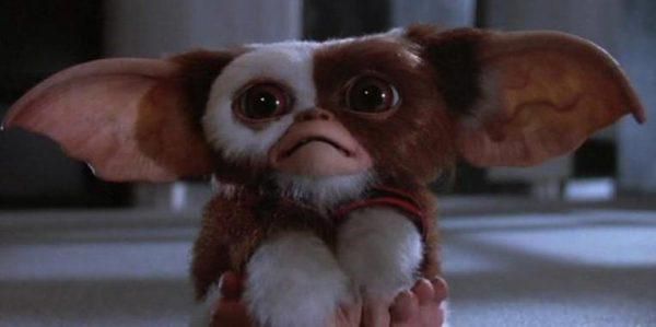 Dritter Teil – Kommen die Gremlins bald zurück? - L'essentiel