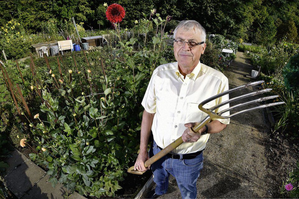Les logements des athlètes olympiques sonnent le glas des jardins ...