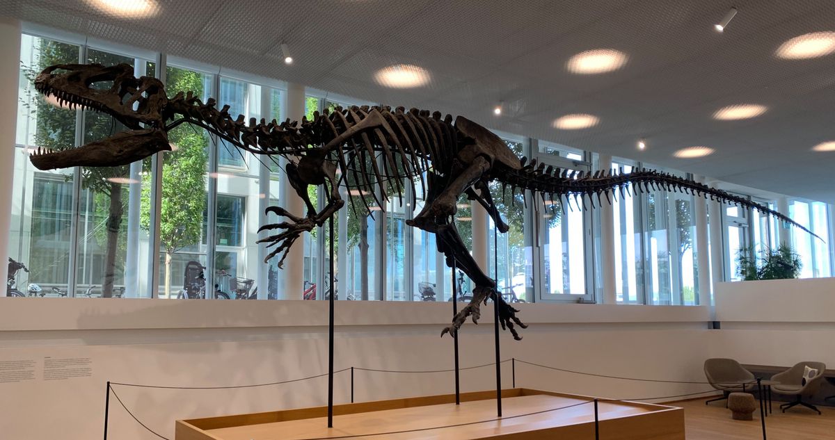 Sandoz-Chef Richard Saynor: «Schweiz könnte bei Medikamenten hunderte ...