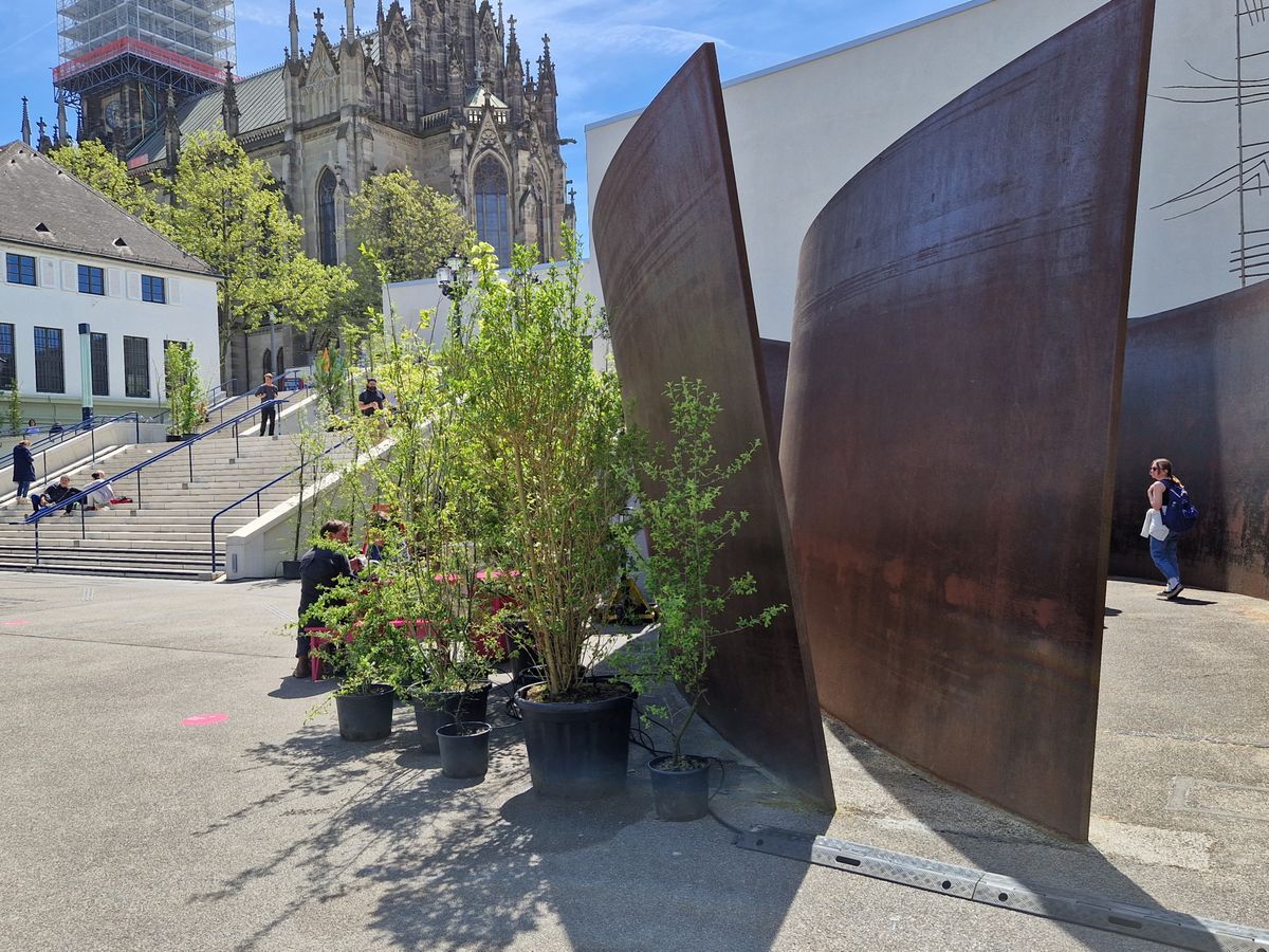 Kolumne von Raphael Suter: Art-Basel-Besucher dürfen Kunst hinter ...