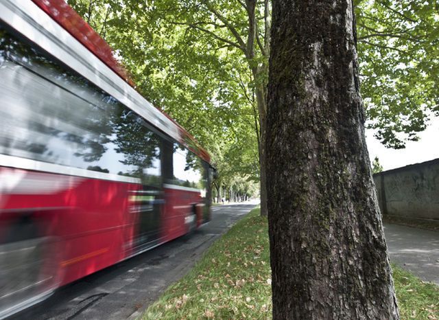 Gemeinden stellen Weichen für Tram Region Bern | Der Bund