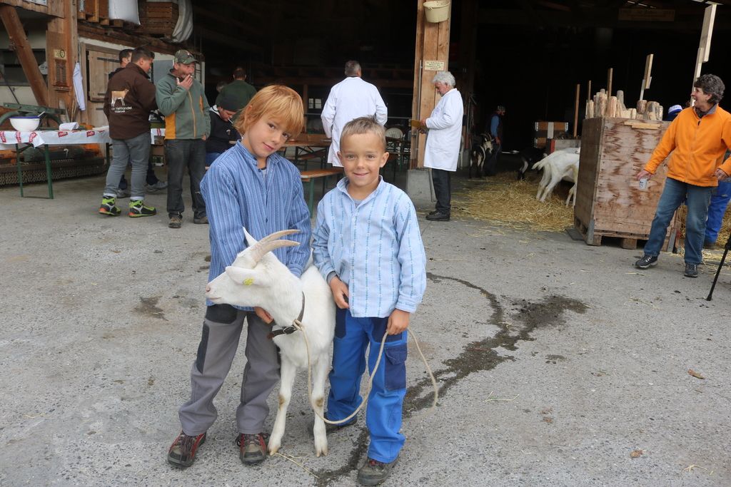 Alma bescherte Lars und Andreas Ruchti Erfolg | Berner Zeitung