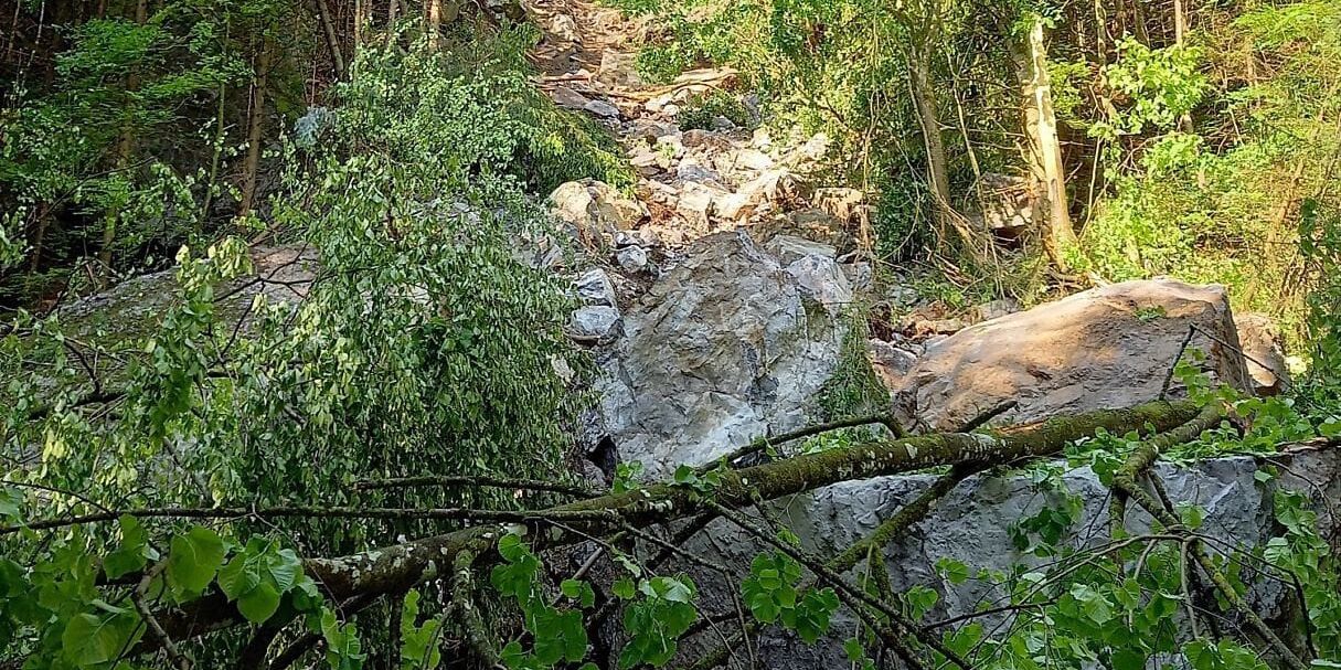 Kanton Glarus: 500 bis 1000 Kubikmeter Fels stürzen in Wald ab | Basler ...
