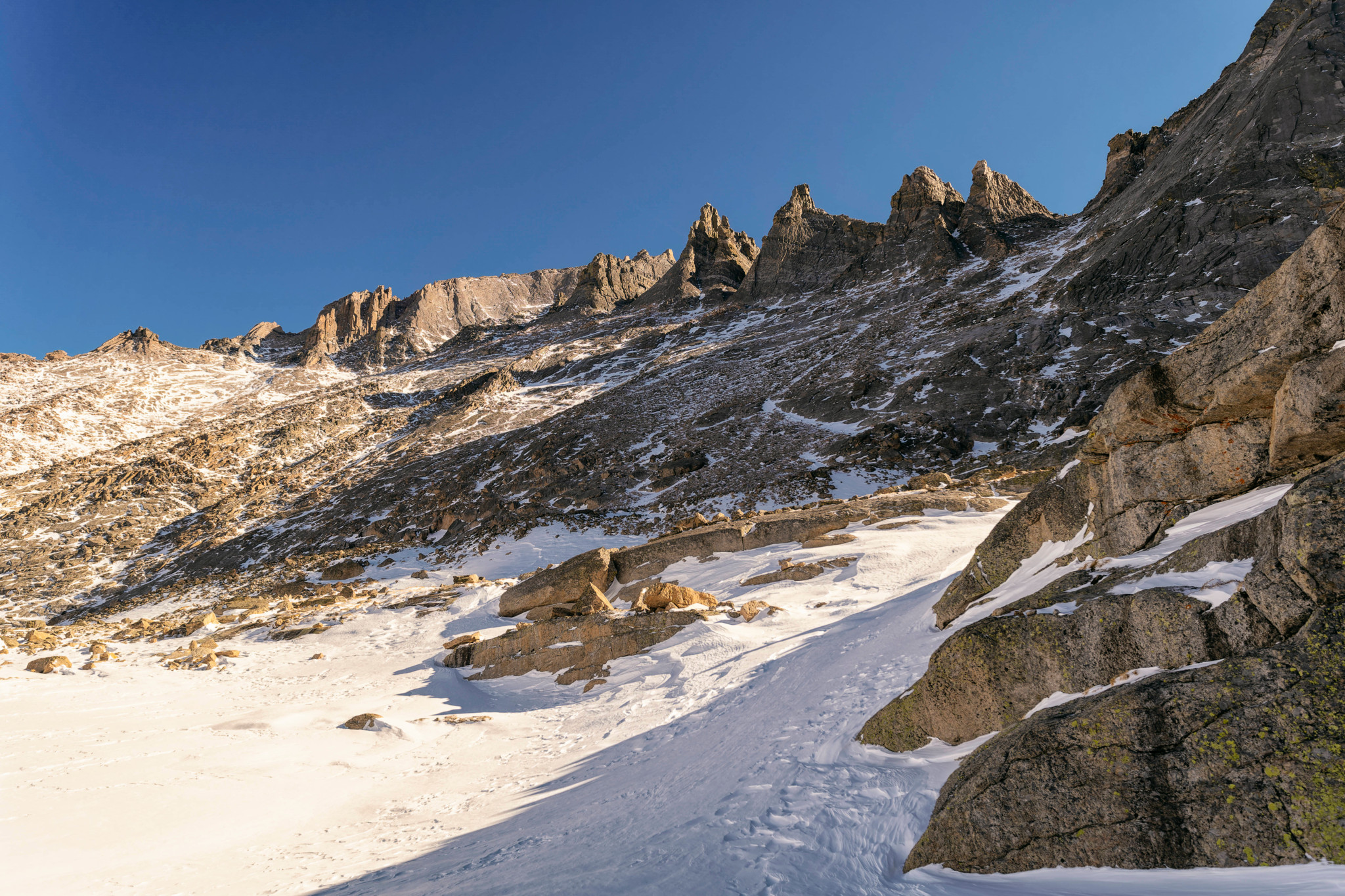 Colorado: Frau beim Wandern mutmasslich von Puma getötet