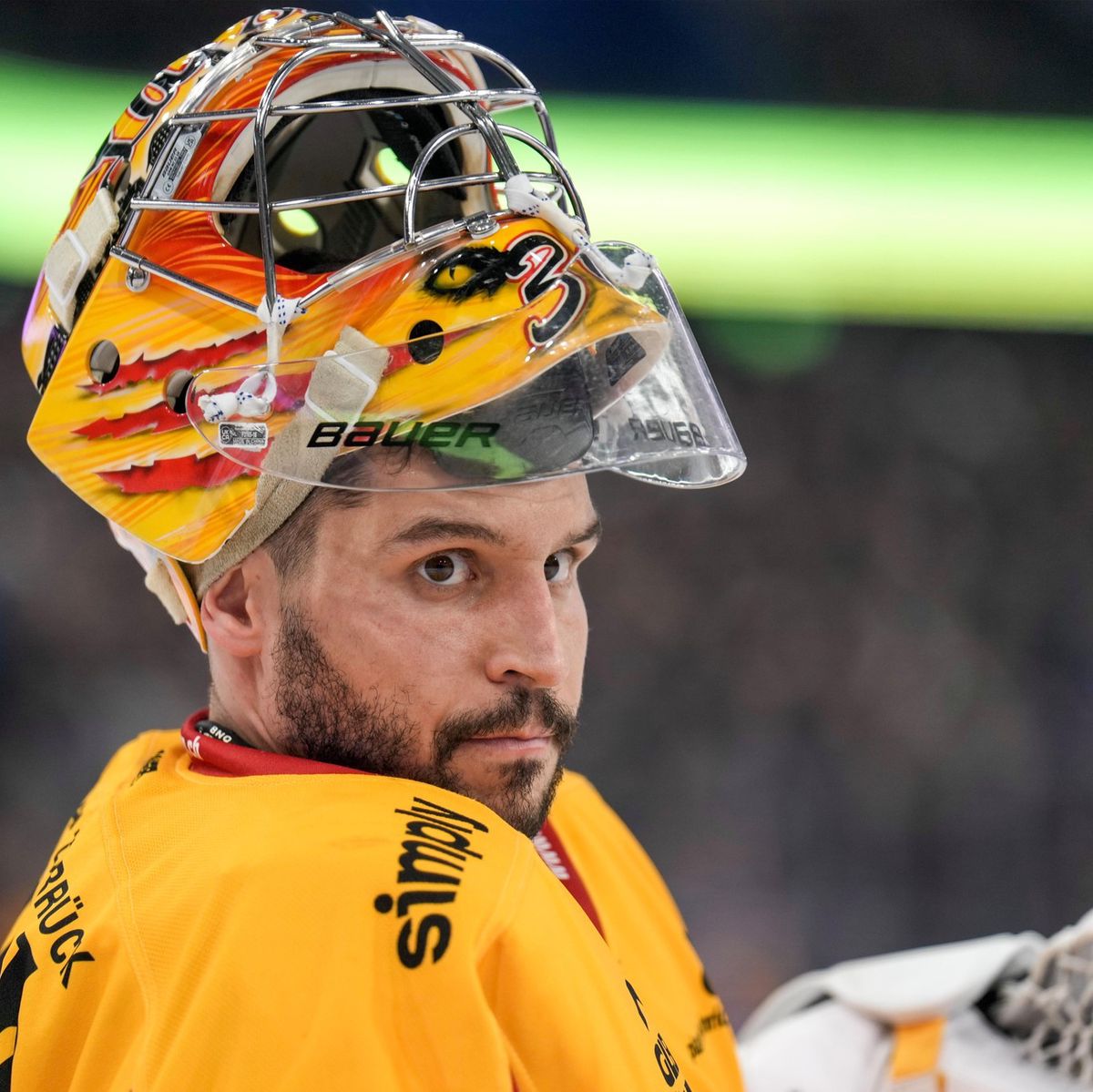 SCL Tigers HCD: Langnau gewinnt gegen den HC Davos | Berner Zeitung