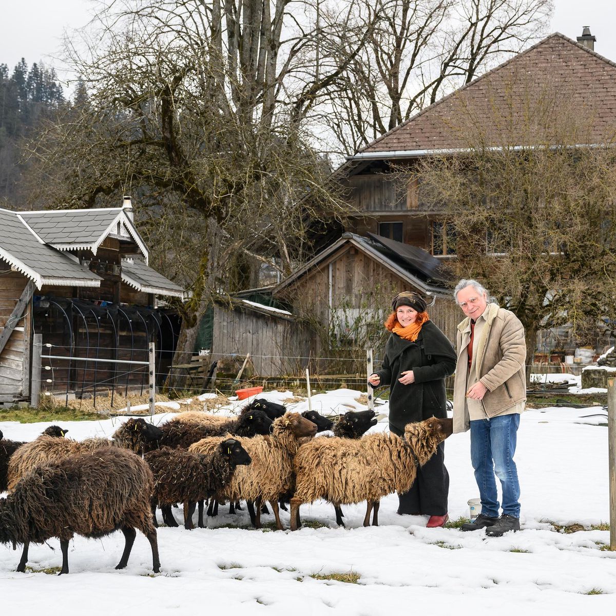 Gemeindewahlen in Bremgarten: Der Stadt Bern ganz nah – und doch ganz ...
