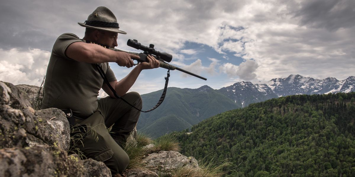 Schutz vor Wolf: Bund denkt über die Bewaffnung von Hirten nach | Tages-Anzeiger