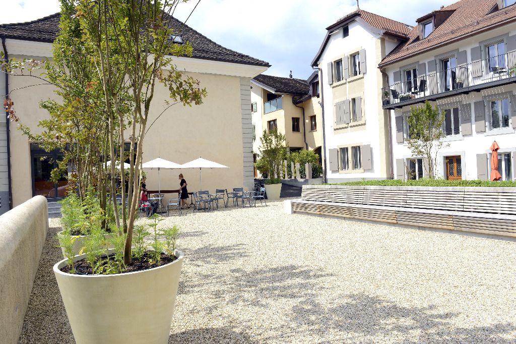 Le Conseil régional du district de Nyon a mal à sa représentativité ...