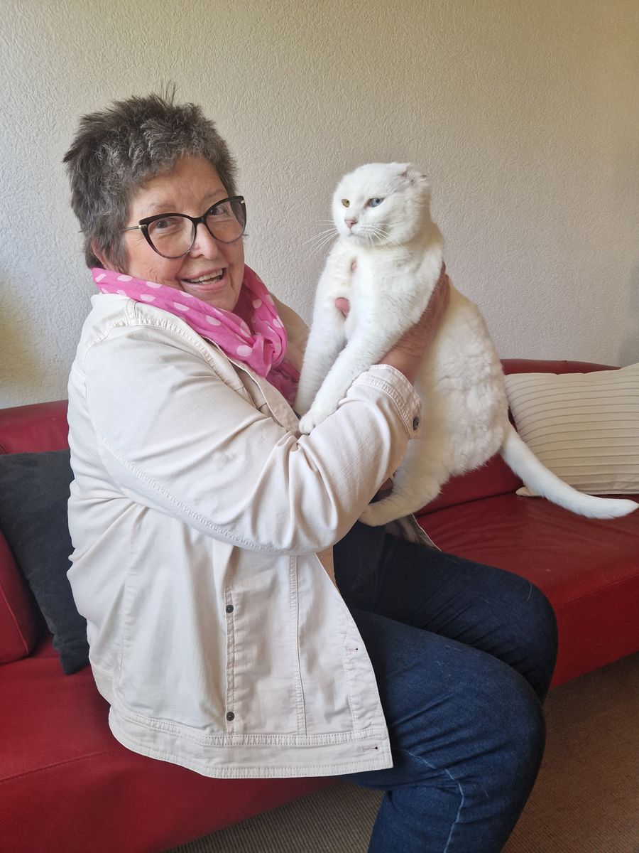 Tiere mit Handicap: Liebevolles Heim für behinderte Katzen | Berner ...