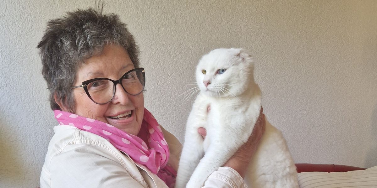 Tiere mit Handicap: Liebevolles Heim für behinderte Katzen | Berner ...