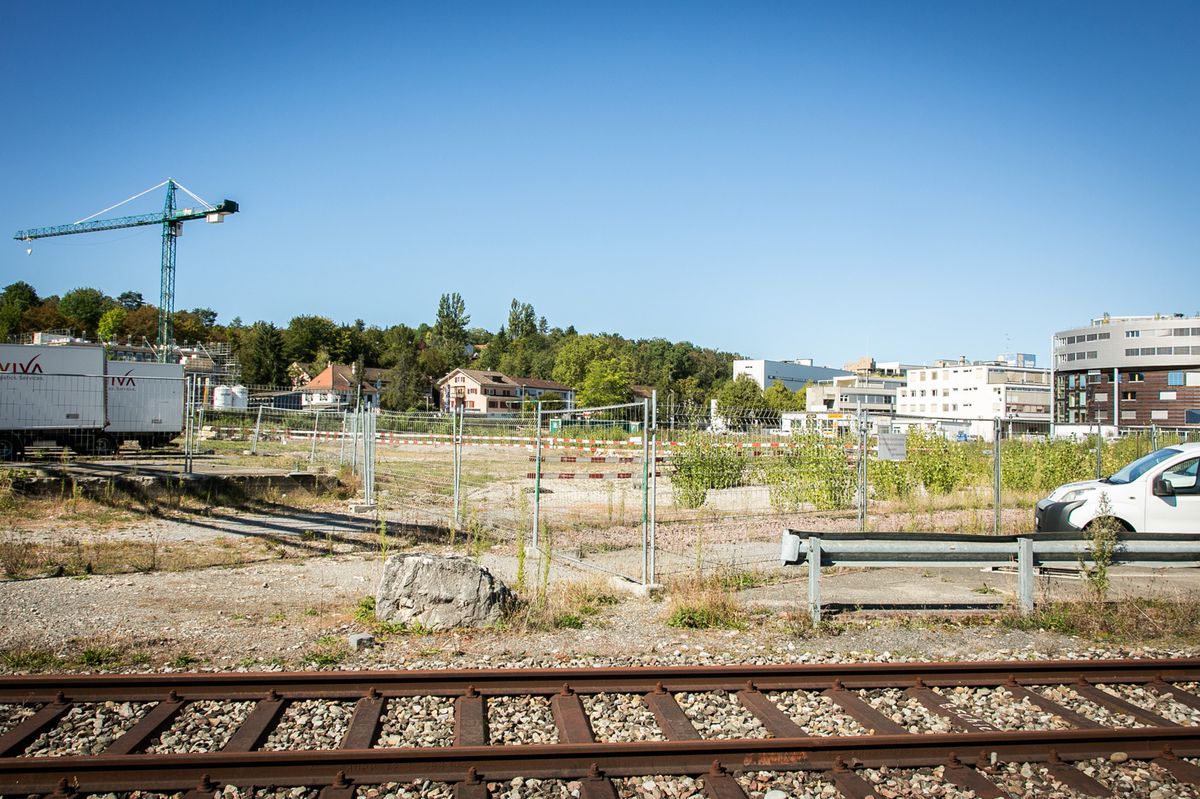 Leif Simonsen | Basler Zeitung