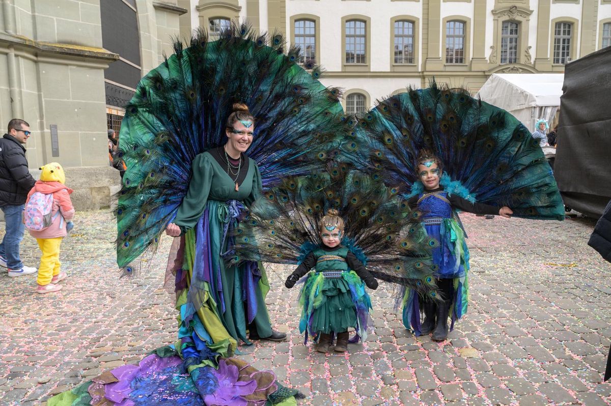 Berner Fasnacht: Kostüme erzählen am Kinderumzug Geschichten | Berner ...