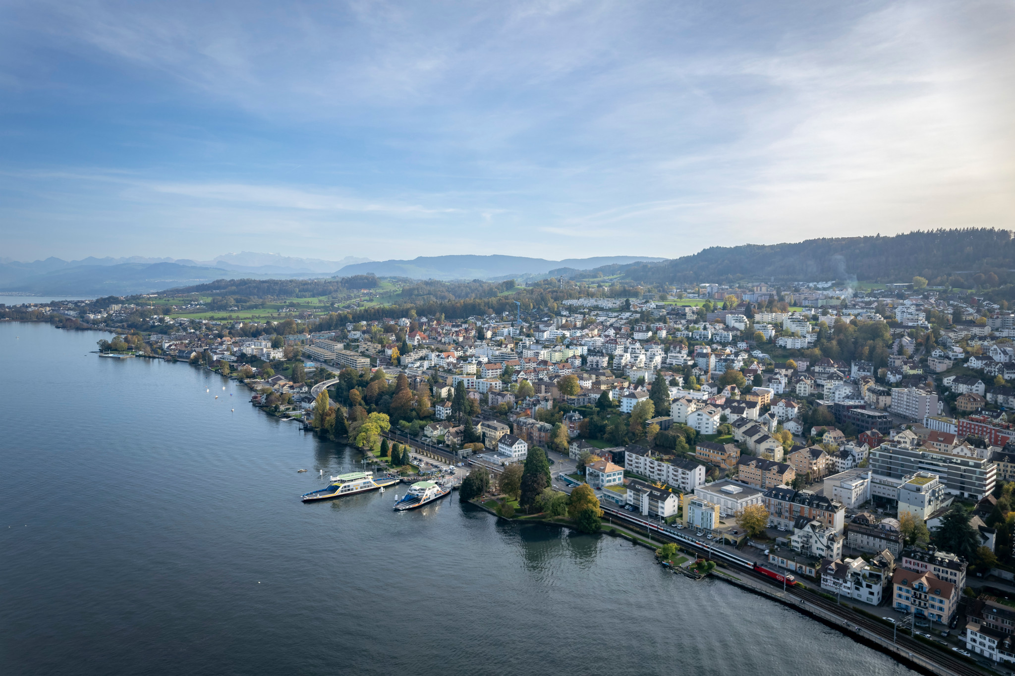 Seilbahn, Hallenbad und Klima: Was in Horgen die nächsten 20 Jahre zu ...