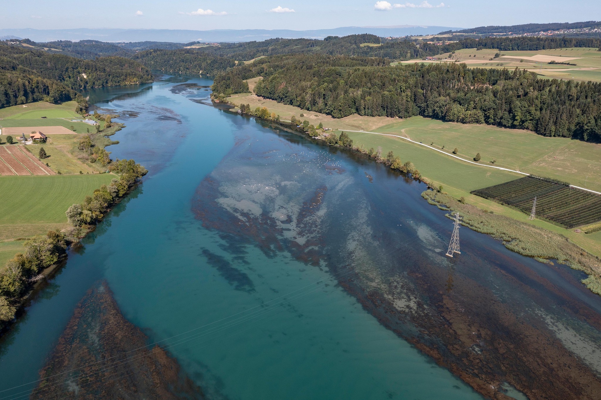Verlandung des Wohlensees: Der See wird wieder zu einem Fluss | Der Bund