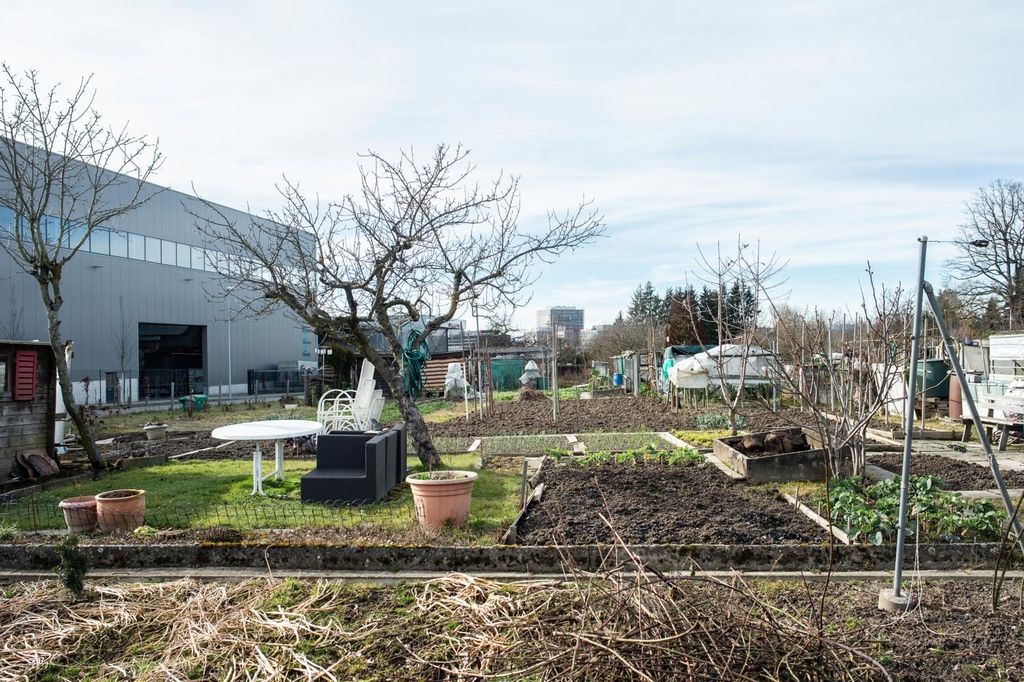 Gärten müssen Pharma-Fabrik weichen | Der Bund