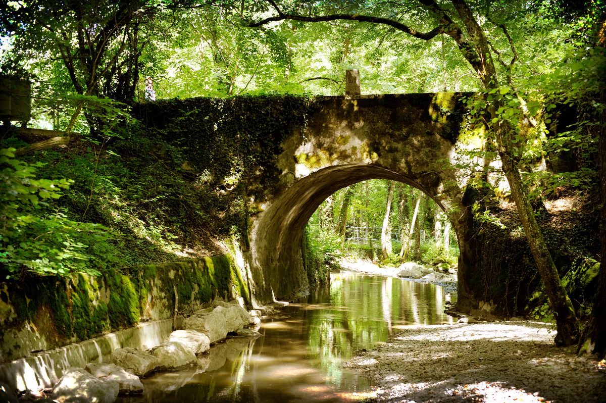 Sortie en famille à Genève: Pour ses 50 ans, Genève Rando vous fait ...