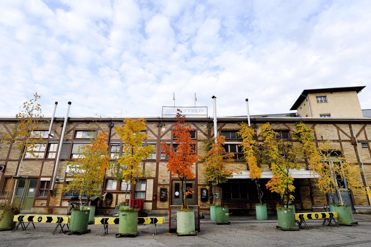 Musikclub in Winterthur: Fans retten und sanieren das Kraftfeld innert drei Wochen | Tages-Anzeiger