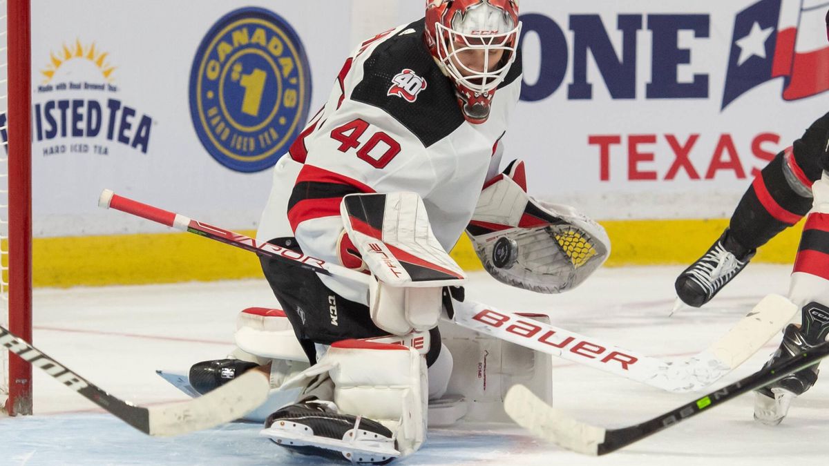 Hockey sur glace: Le trio suisse en évidence lors du 12e succès de rang ...