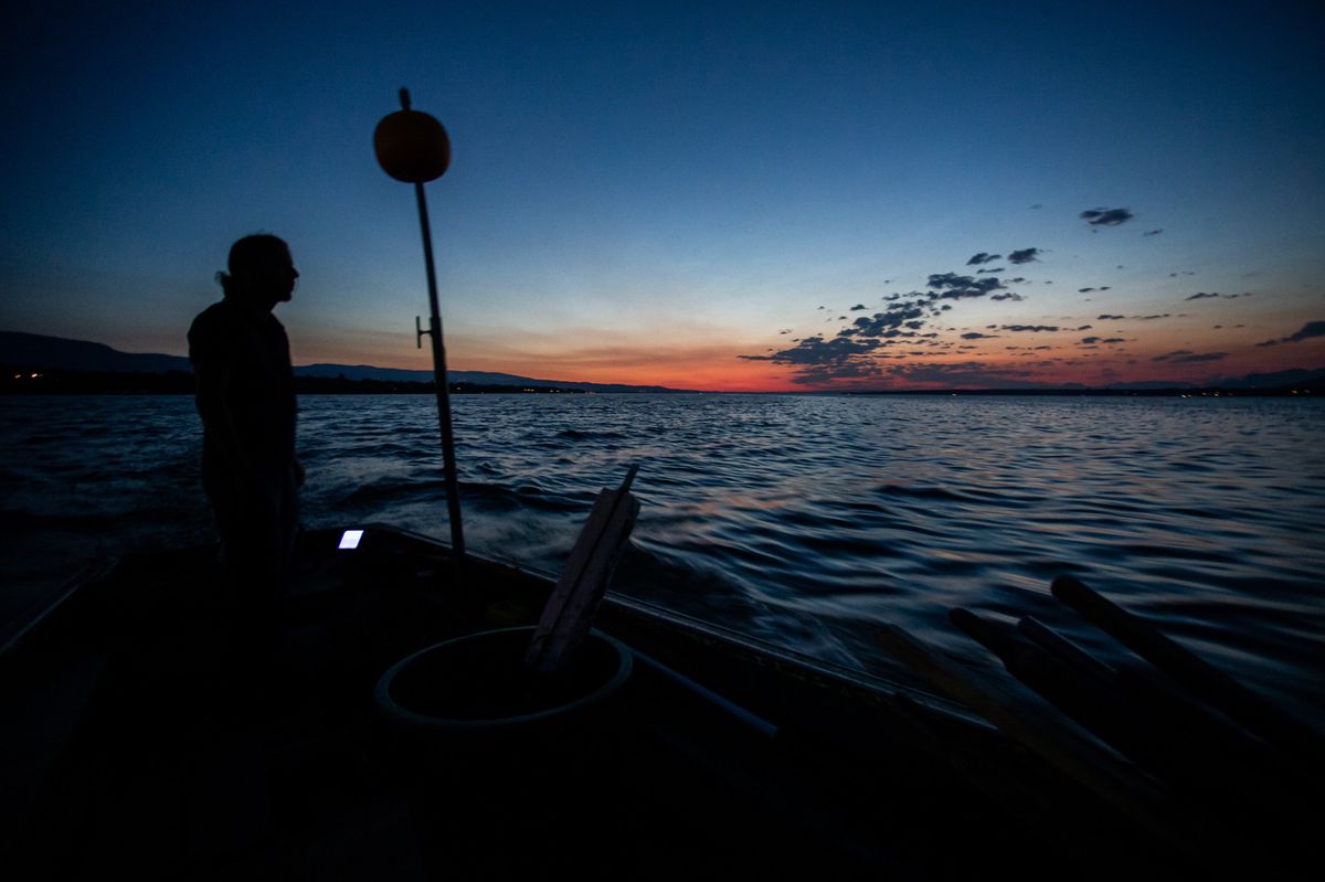 Kies für Fischlaich: So sieht es in anderen Schweizer Seen aus | Berner ...