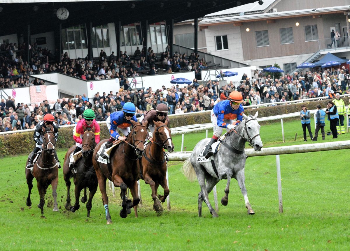 «Oktober-Renntag» in Dielsdorf: Saadi mit Karin Zwahlen – wer denn sonst? | Tages-Anzeiger