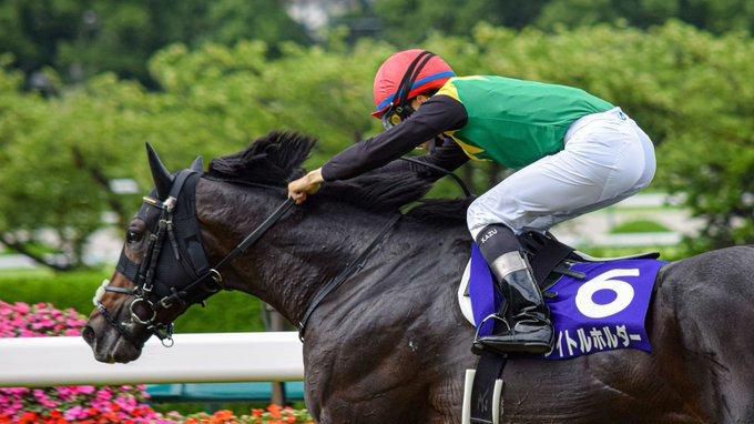 Prestigieuse course de chevaux: Le cheval Luxembourg battu au Prix de l ...