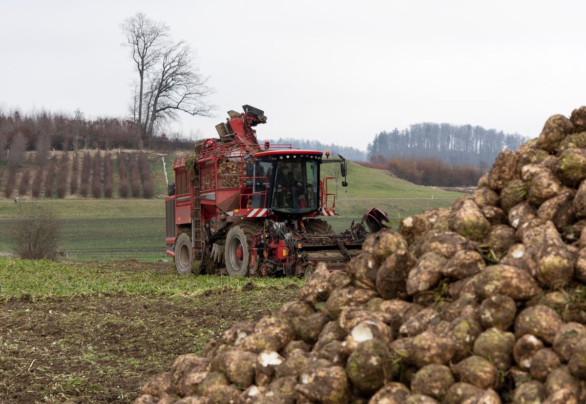 Illnau-Effretikon | Der Landbote