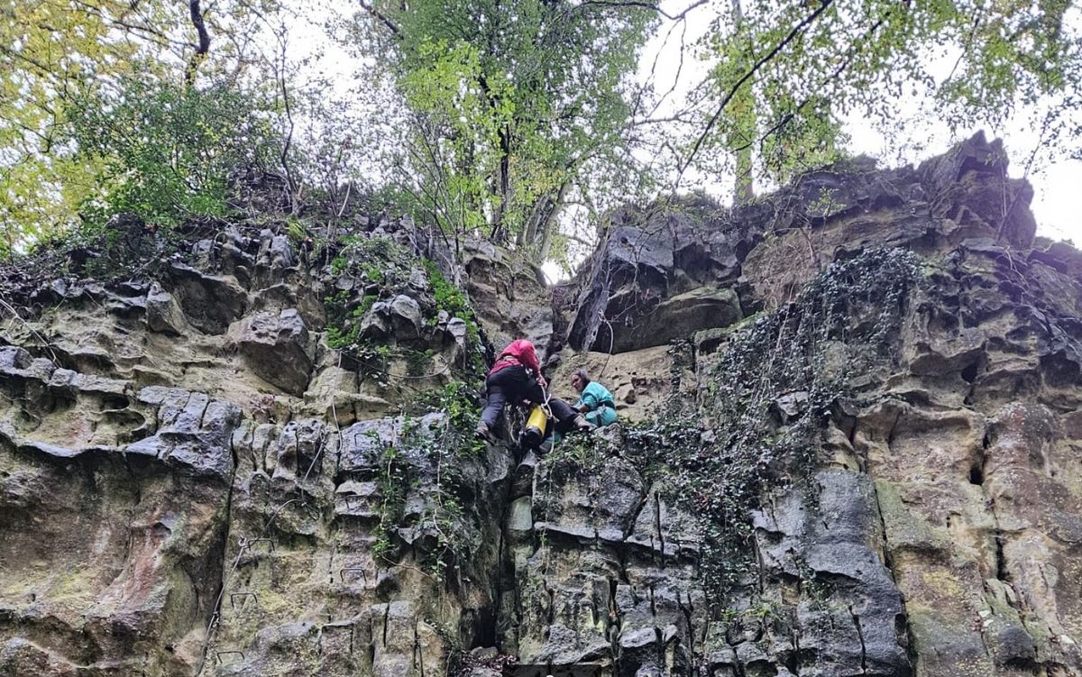 Ils ont sauvé un labrador coincé sur une falaise - L'essentiel
