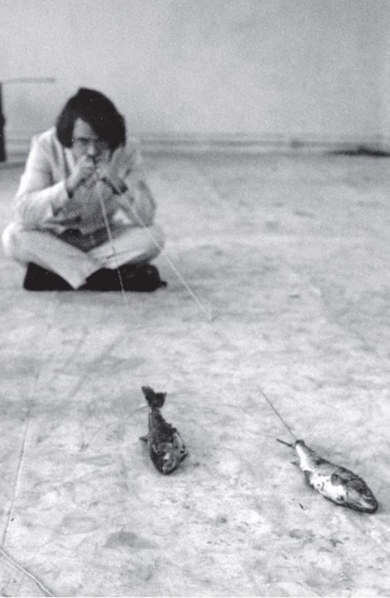 Terry Fox, der Überlebende | Berner Zeitung