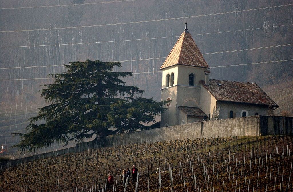 Fête et portes ouvertes - En 80 ans, la Cave de Nyon a tout fait pour ...