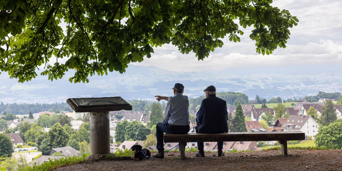 Neue Online-Karte erklärt Flurnamen: Wo am Zürichsee einst die grössten ...