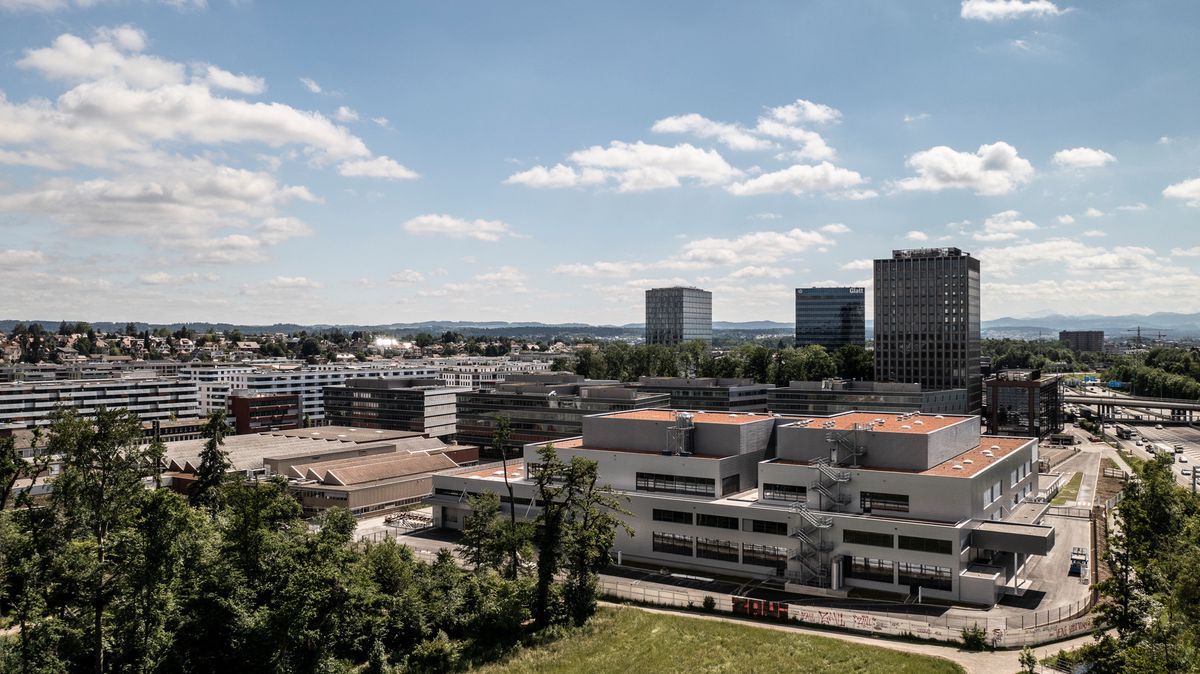 Reishauer gerät vom Boom in die Flaute – Analyse Jahreszahlen | Finanz ...