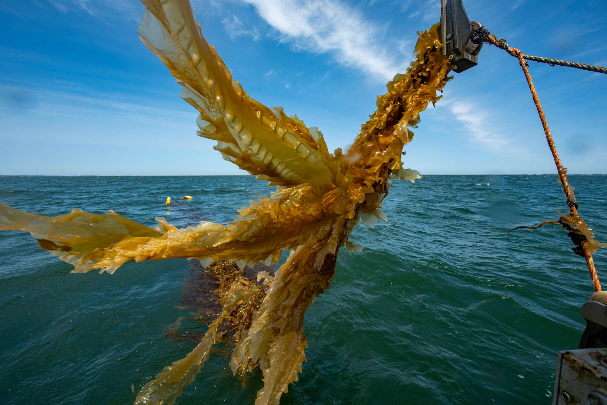ONU: Un traité historique pour protéger la haute mer a été adopté - L ...