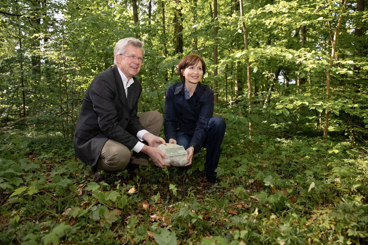 Verein «Bern neu gründen»: Fusions­befürworter gehen in den ...