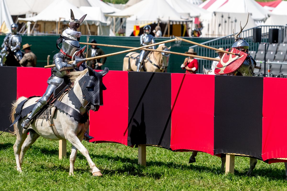 Die Woche in der Region Thun: Stockende Entwicklung, ein Exodus und ...