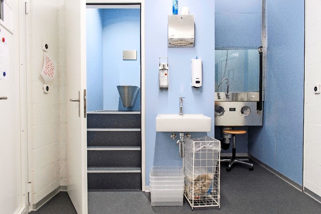 Das lebensgefährliche Geschäft der Bodypacker | Thuner Tagblatt