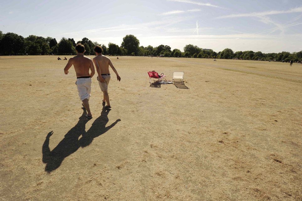 Hitze in Europa: Hyde-Park ist ausgetrocknet, ICE-Züge evakuiert ...