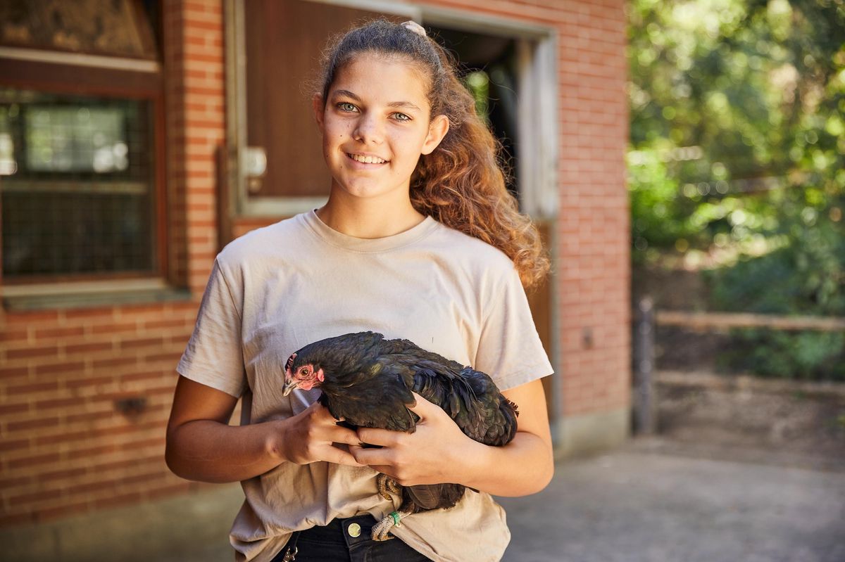 Im Zolli-Gehege: Kein Gegacker und kein Mist bringen Sheila aus der ...