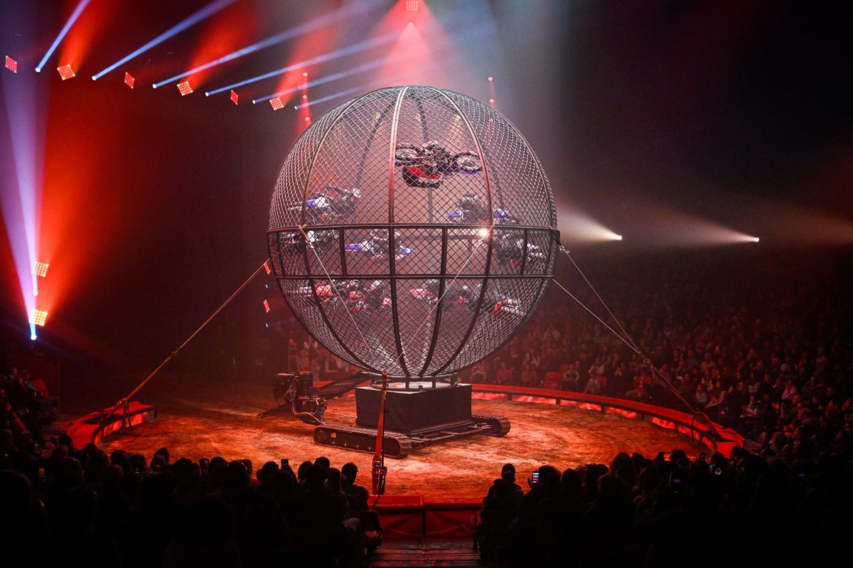 Circus Knie im Kindertest: «Ich möchte nicht wissen, wie oft da bei den ...