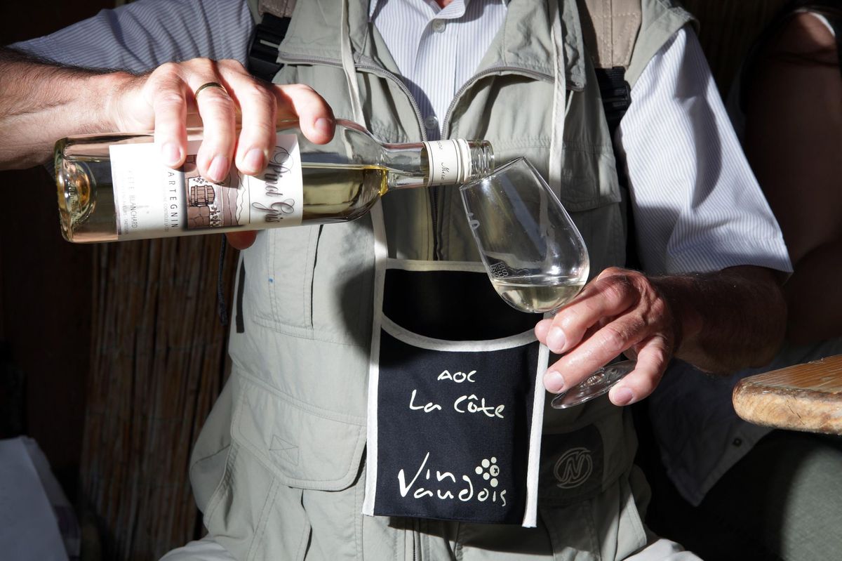 Fête et portes ouvertes - En 80 ans, la Cave de Nyon a tout fait pour ...