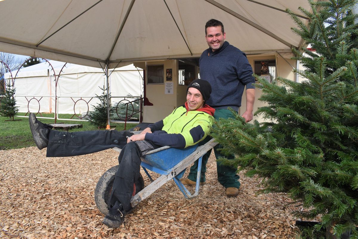 Mit Vorverkauf «zufrieden»: Wird das erste Oberländer Wintervarieté ein ...